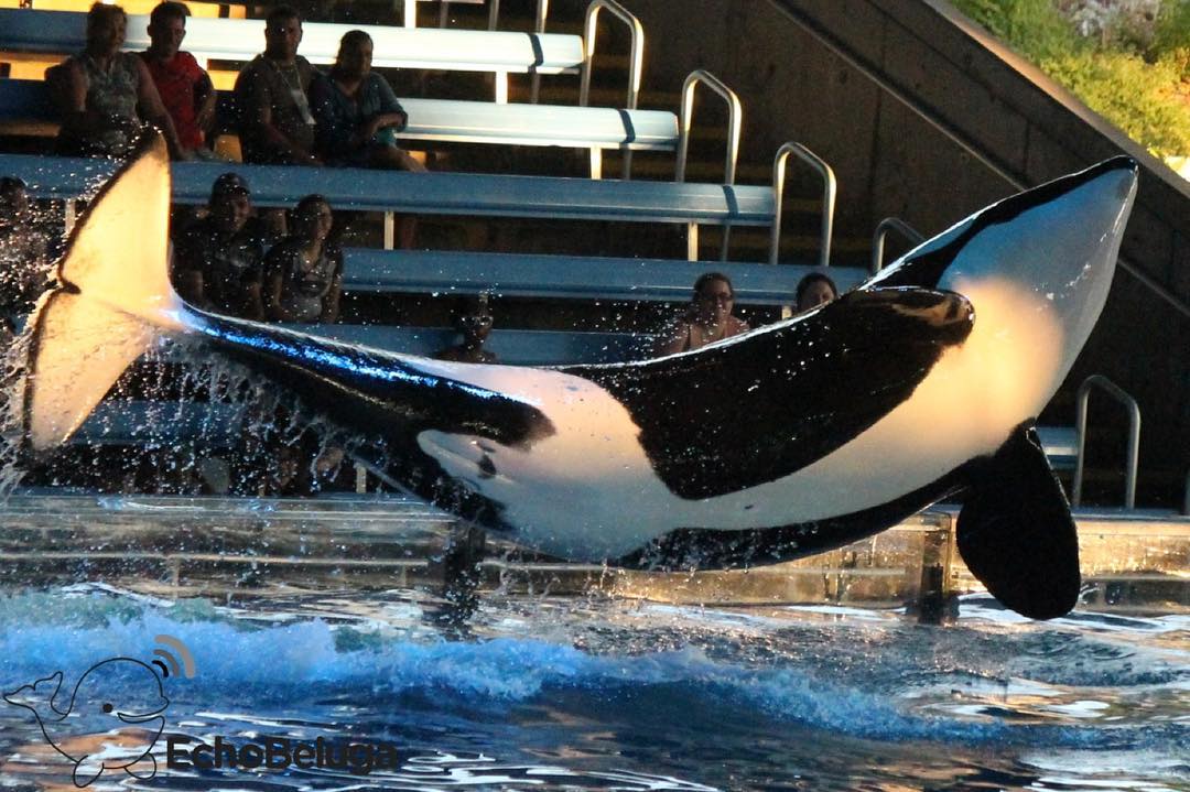 Takara’s Gallery – Inherently Wild