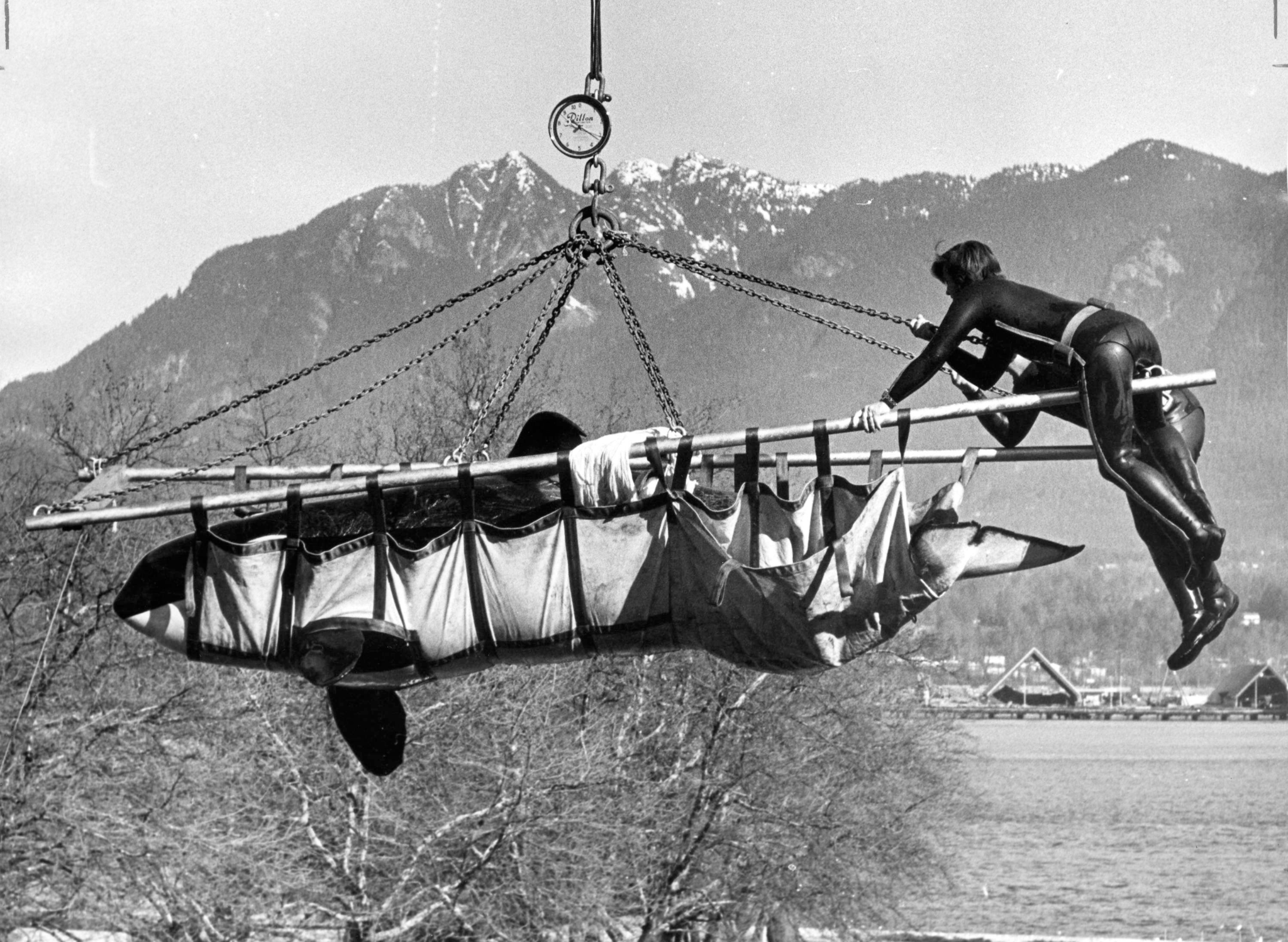 Hyak 2’s Gallery – Inherently Wild