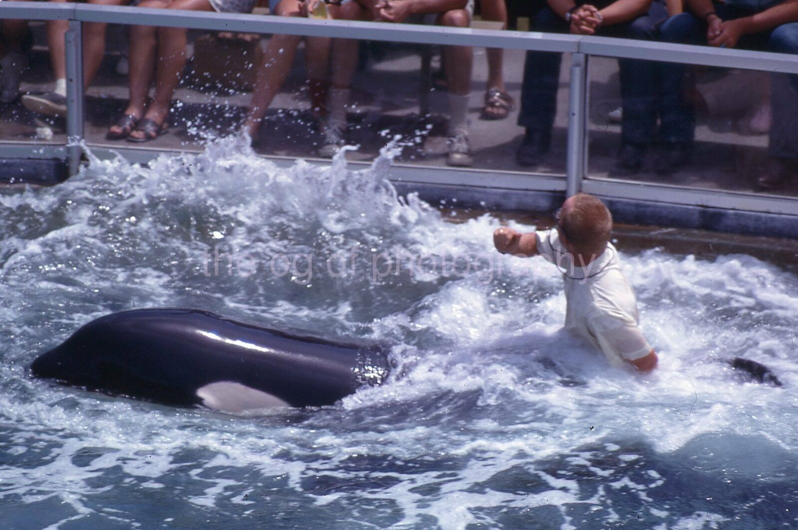 Kandu’s Gallery – Inherently Wild