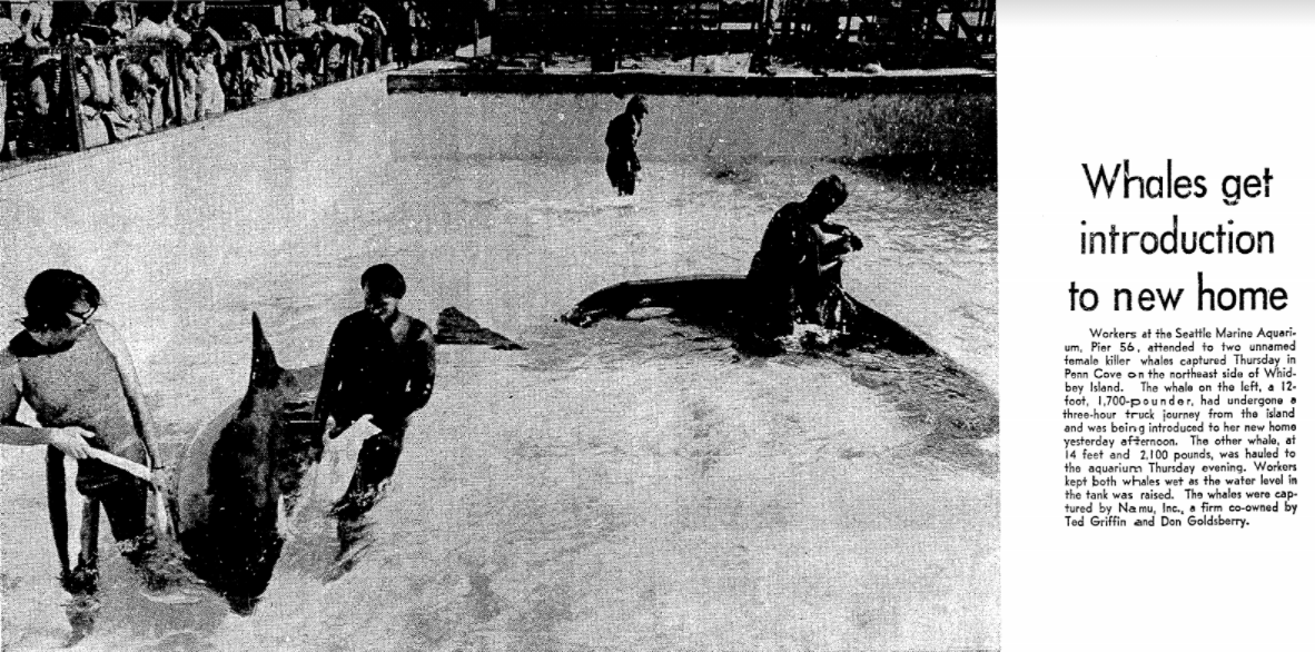 Kandu 3’s Gallery – Inherently Wild