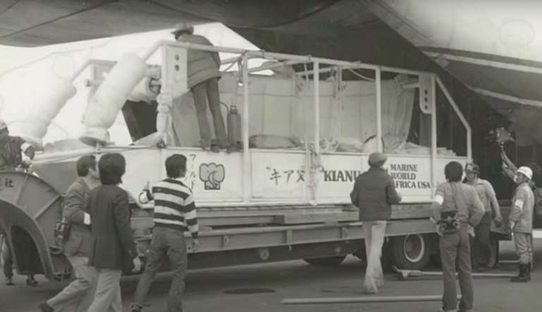 Kianu’s Gallery – Inherently Wild