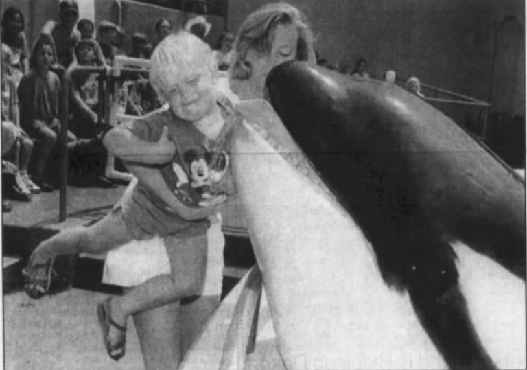 Vigga’s Gallery – Inherently Wild