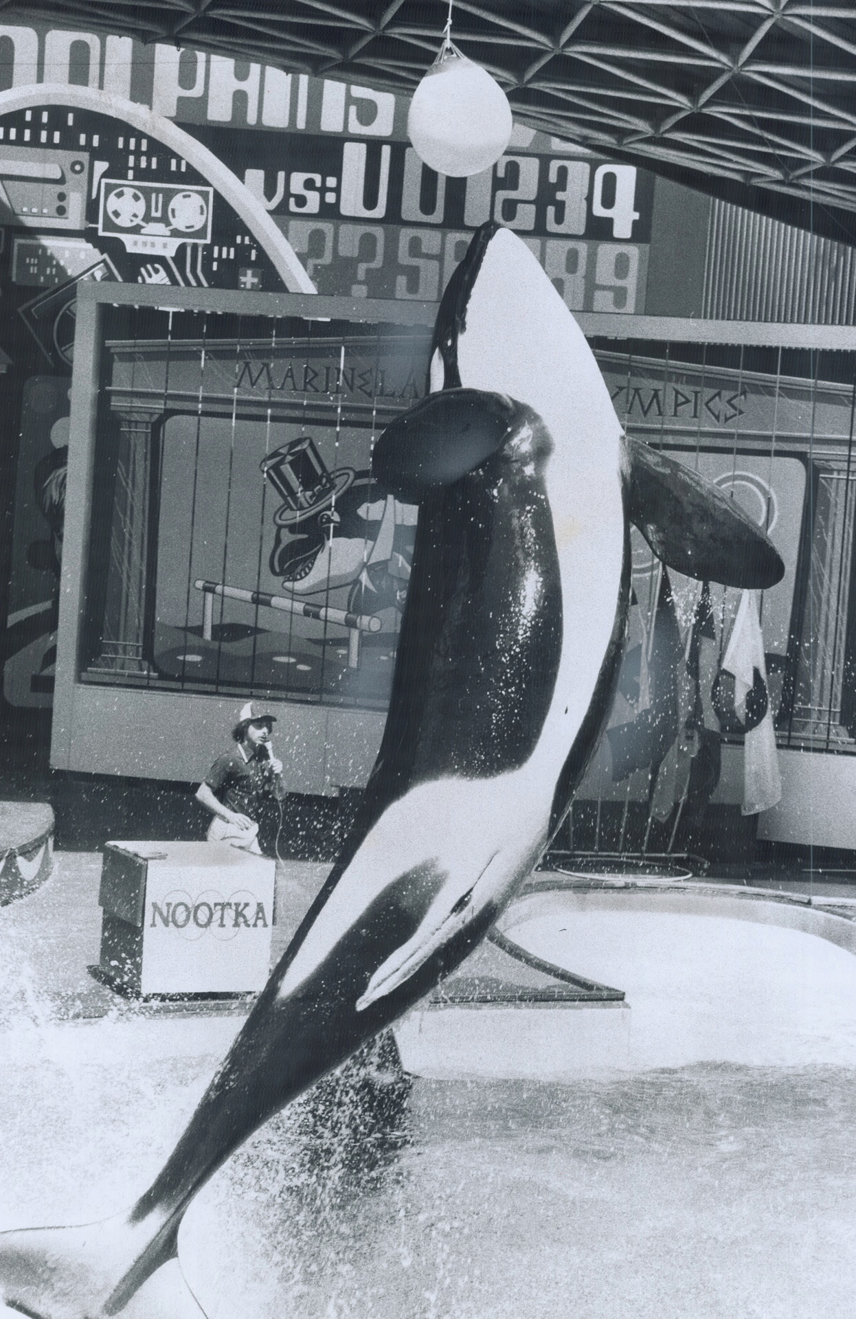 Kandu 2’s Gallery – Inherently Wild