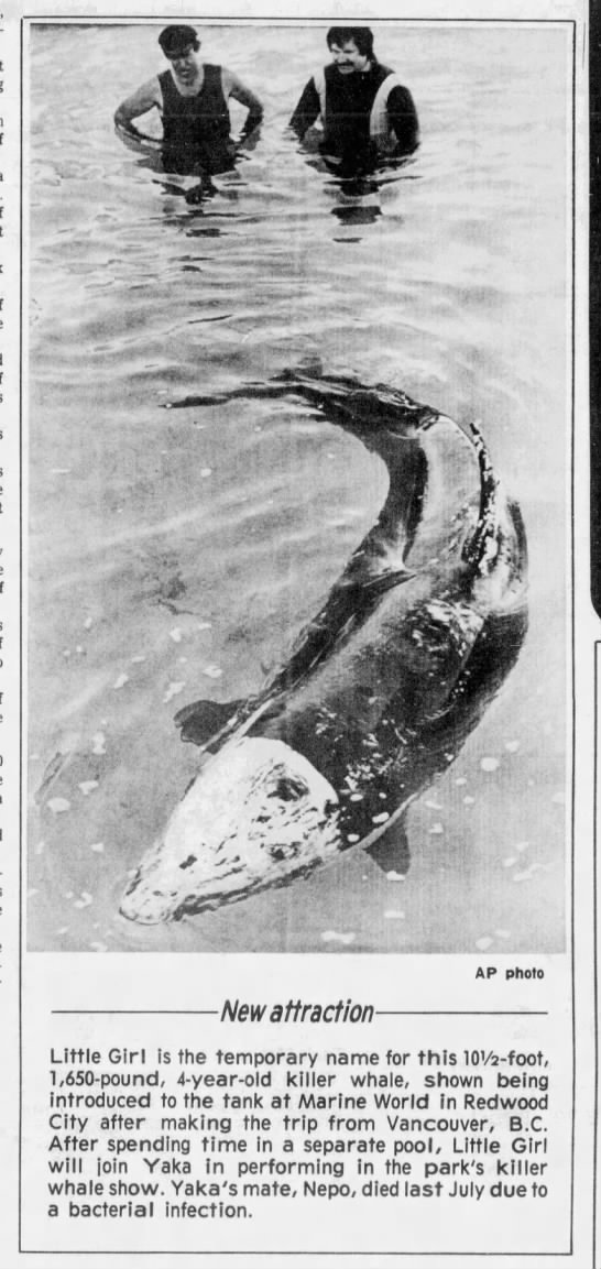 Vigga’s Gallery – Inherently Wild