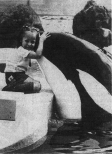 Kotar’s Gallery – Inherently Wild