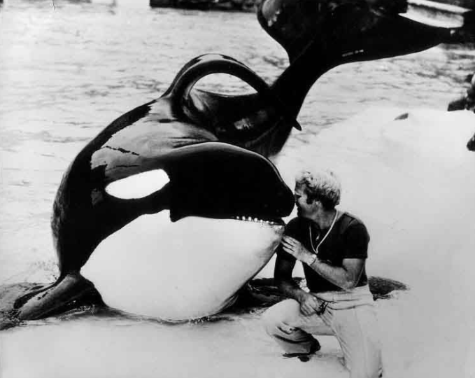 winston – Inherently Wild