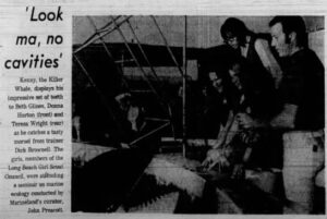 Kenny’s Gallery – Inherently Wild