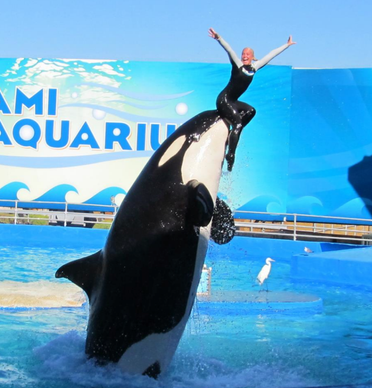 Tokitae’s Gallery – Inherently Wild