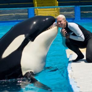 Tokitae’s Gallery – Inherently Wild