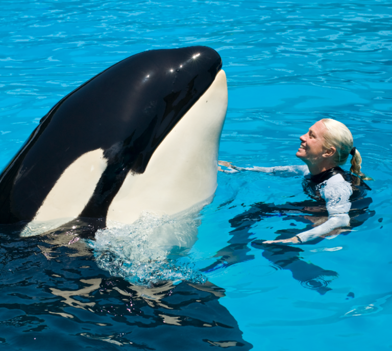 Tokitae’s Gallery – Inherently Wild