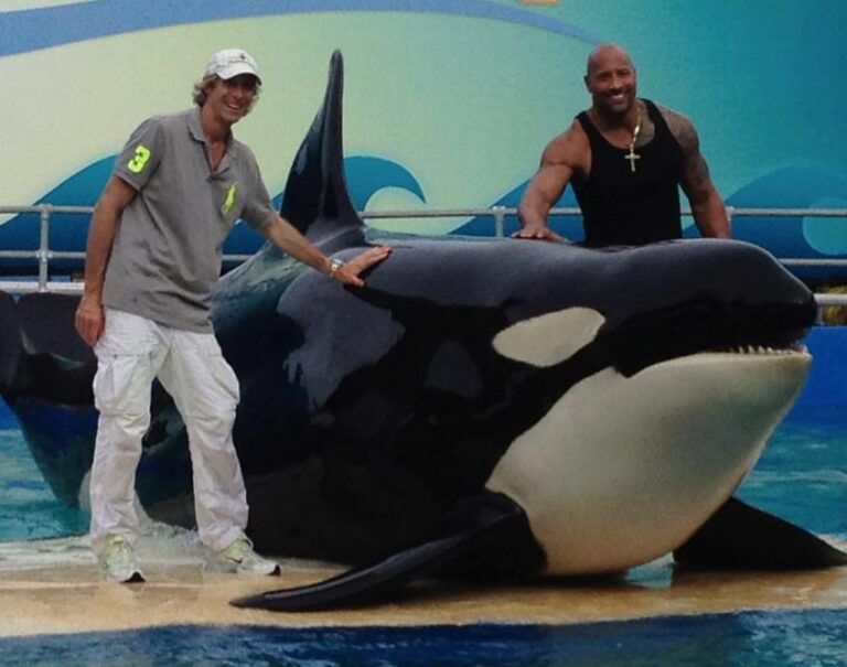 Tokitae’s Gallery – Inherently Wild