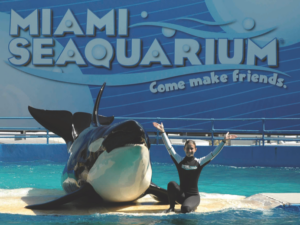 Tokitae’s Gallery – Inherently Wild