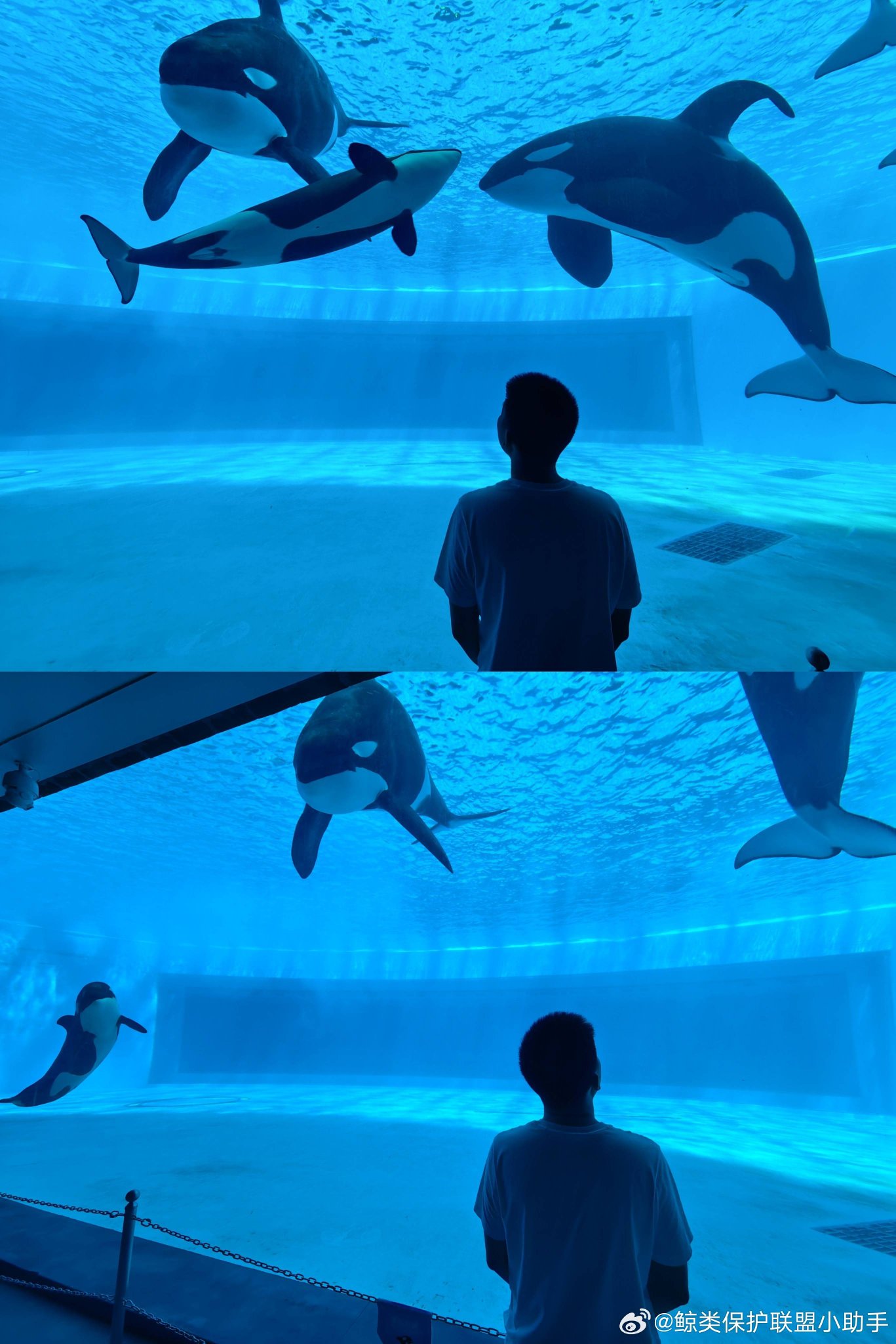 Tyson’s Gallery – Inherently Wild