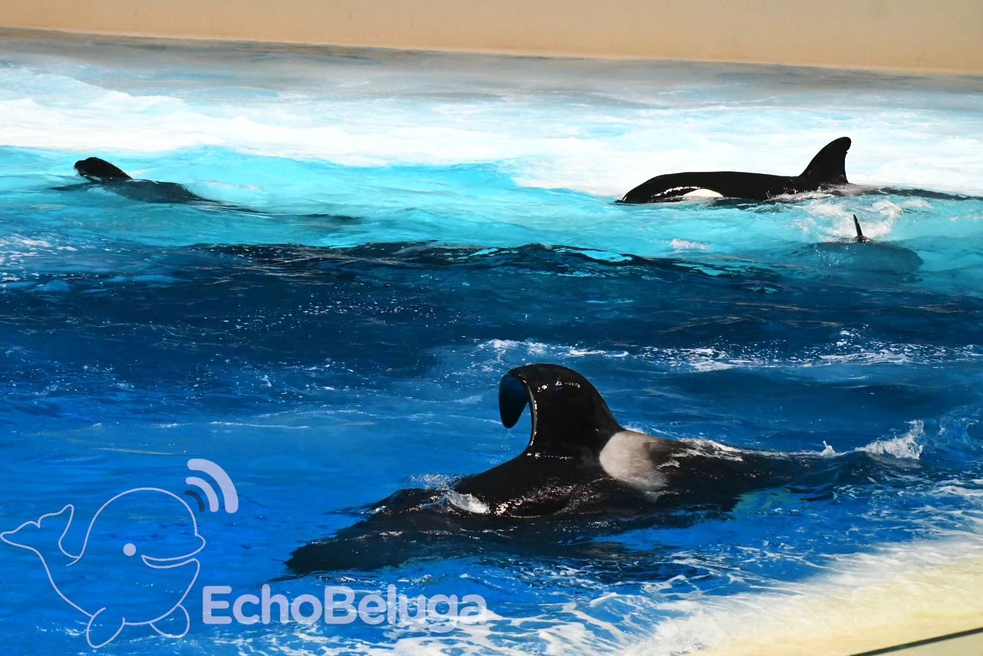 Nakhod’s Gallery – Inherently Wild