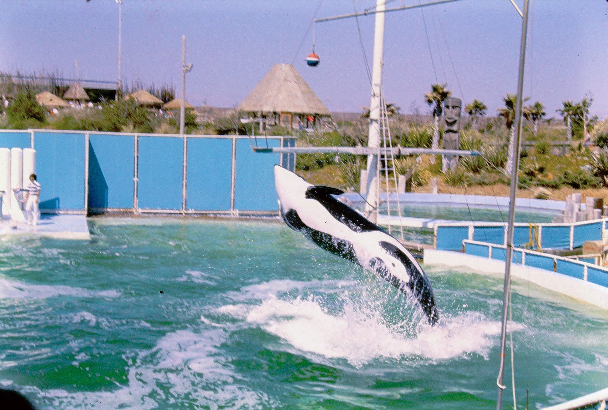 Kianu’s Gallery – Inherently Wild